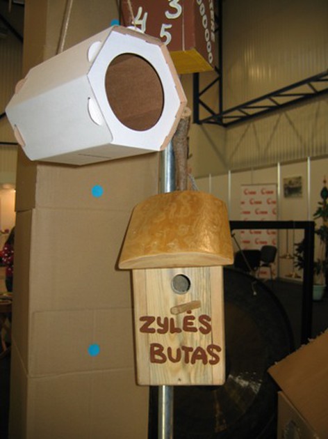 Kaip patiems pasigaminti lesyklėlę? - Ikimokyklinukas - Mamyčių klubas